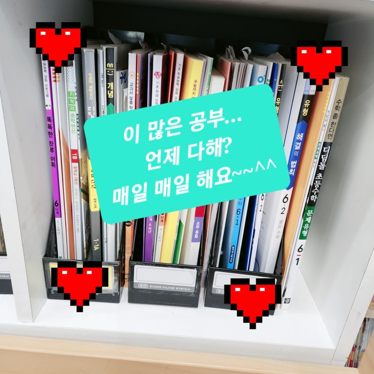 초등학생 수학 공부 잘하는 비법 4편 솔밭초등학교 대성초등학교 등 복대동 청주 지웰시티센터 인근의 학부모님들께 드리는 꿀팁